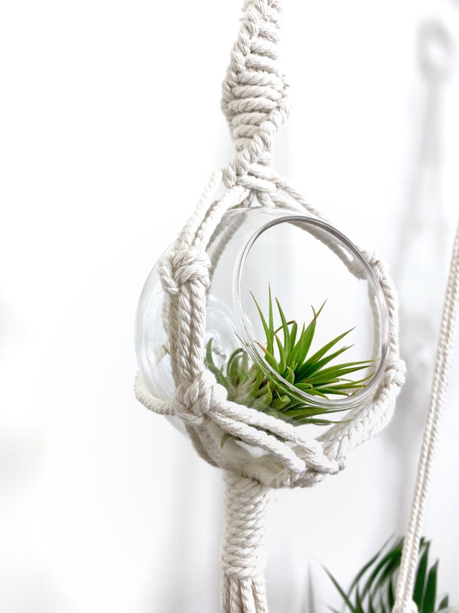 21 Free Macrame Plant Hanger Patterns - Sarah Maker