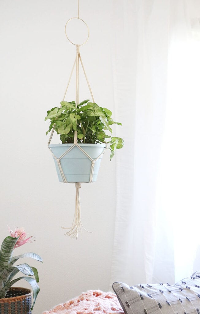 21 Free Macrame Plant Hanger Patterns - Sarah Maker