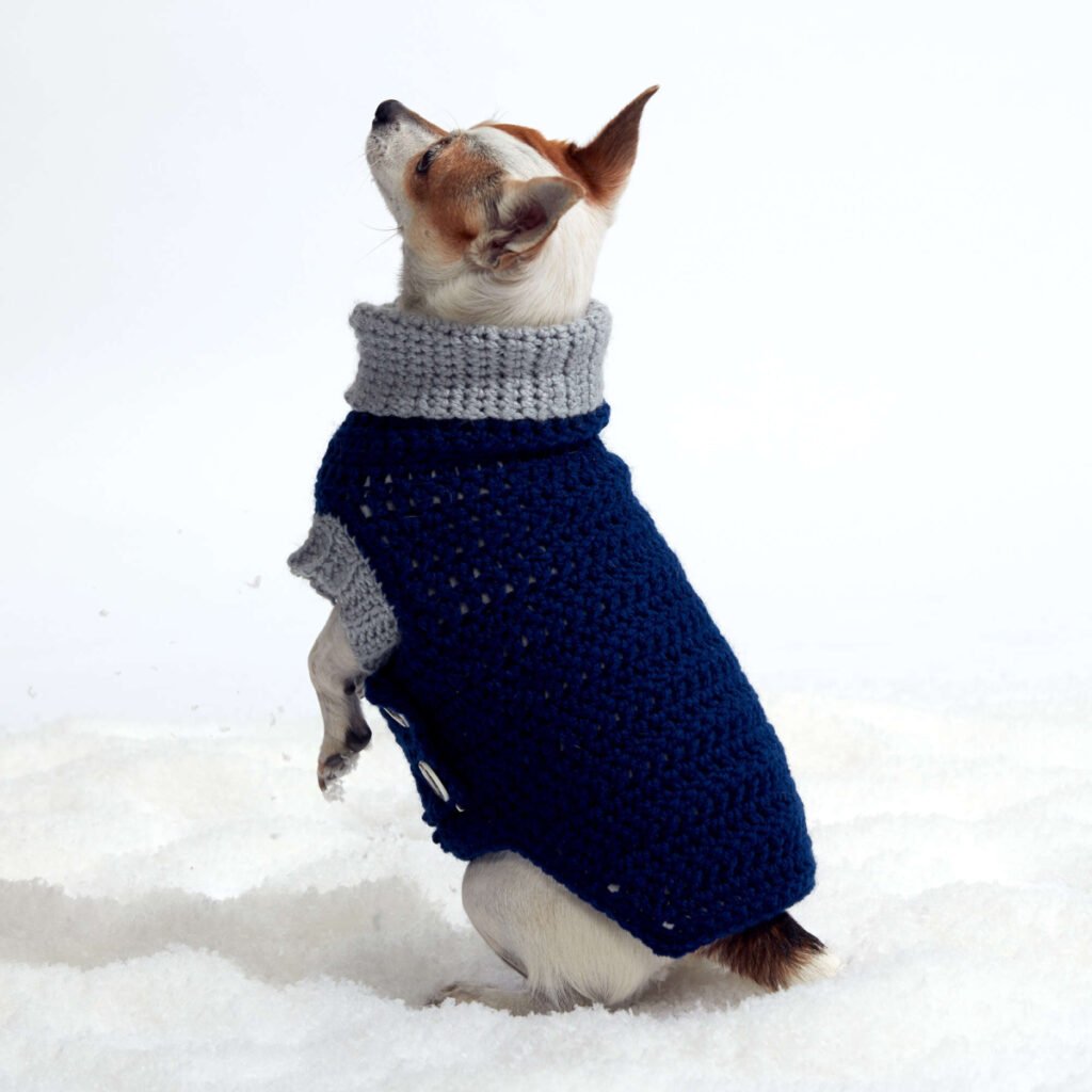 27 Free Crochet Dog Sweater Patterns - Sarah Maker
