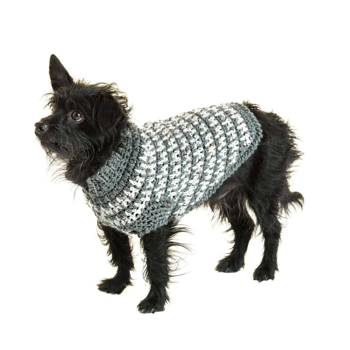 27 Free Crochet Dog Sweater Patterns - Sarah Maker