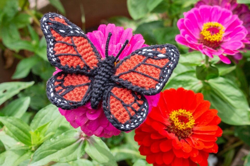 23 Free Crochet Butterfly Patterns - Sarah Maker