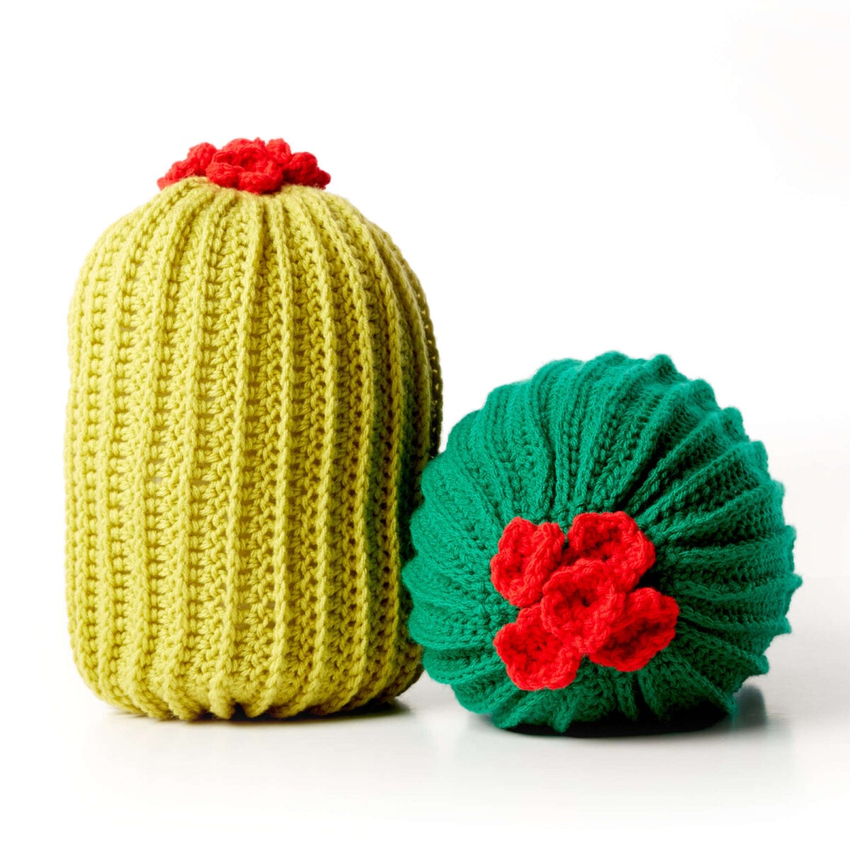 27 Free Crochet Plant, Cactus, and Succulent Patterns - Sarah Maker