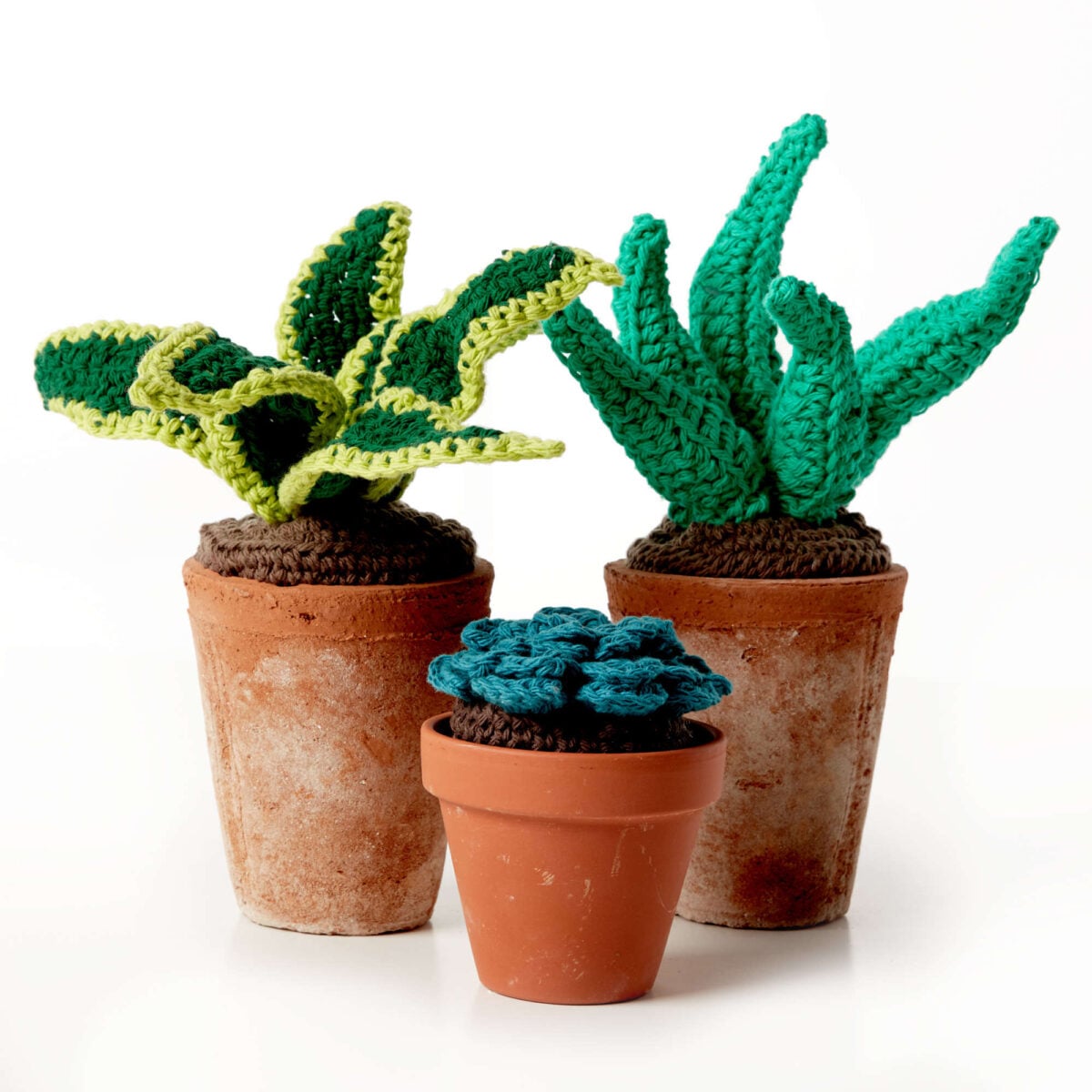 27 Free Crochet Plant, Cactus, and Succulent Patterns - Sarah Maker