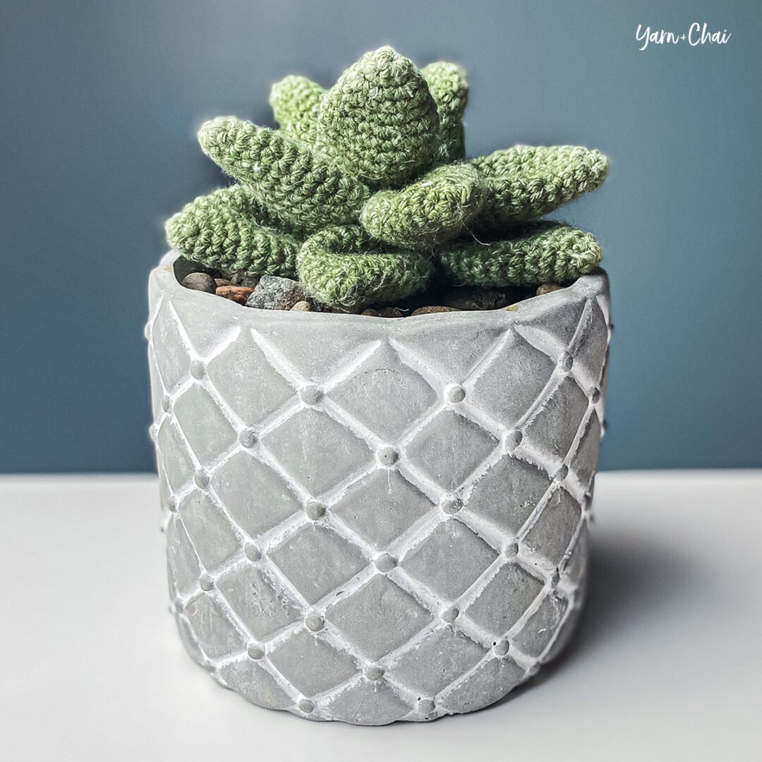 27 Free Crochet Plant, Cactus, and Succulent Patterns - Sarah Maker