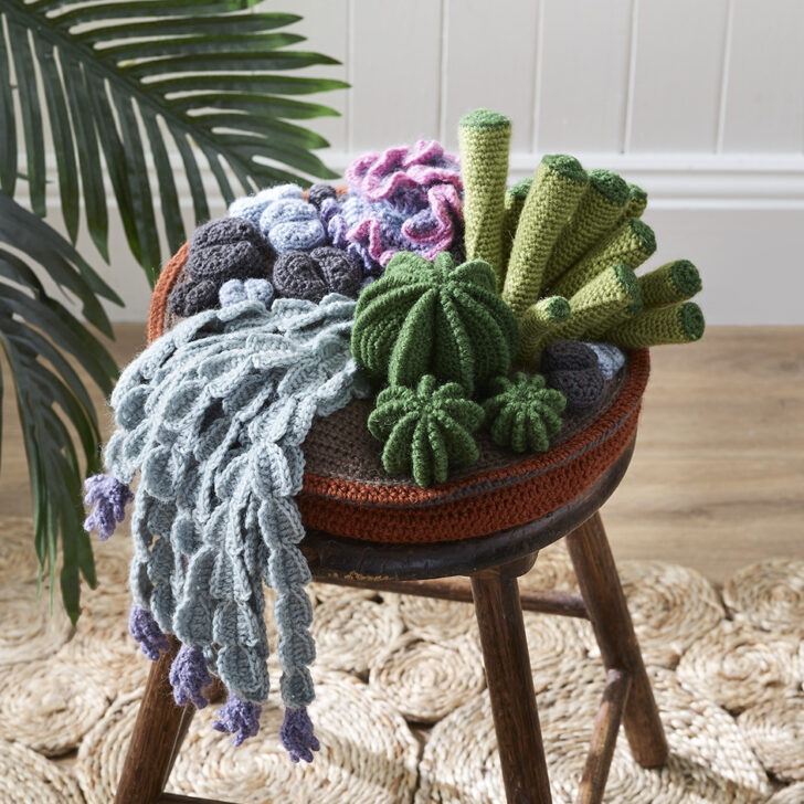 27 Free Crochet Plant, Cactus, and Succulent Patterns - Sarah Maker