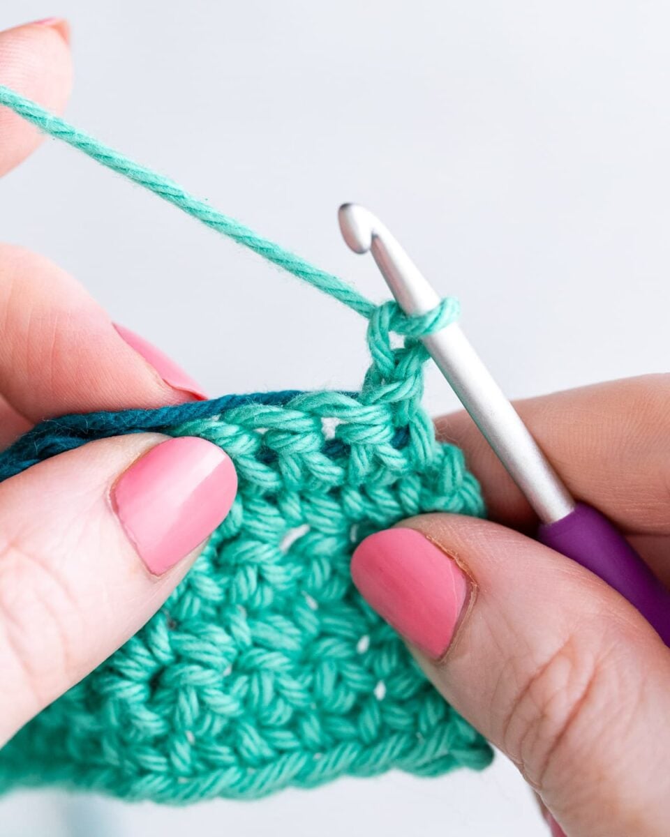 Tapestry Crochet for Beginners: A Complete Guide - Sarah Maker